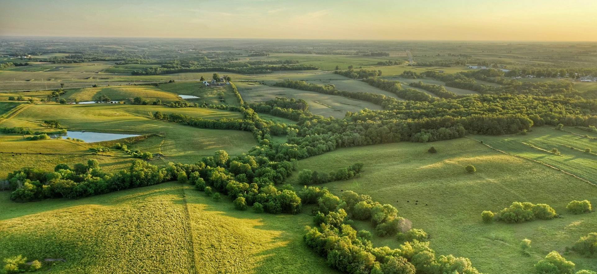 Southern Iowa Land Sales - Looking to Sell Your Iowa Land?